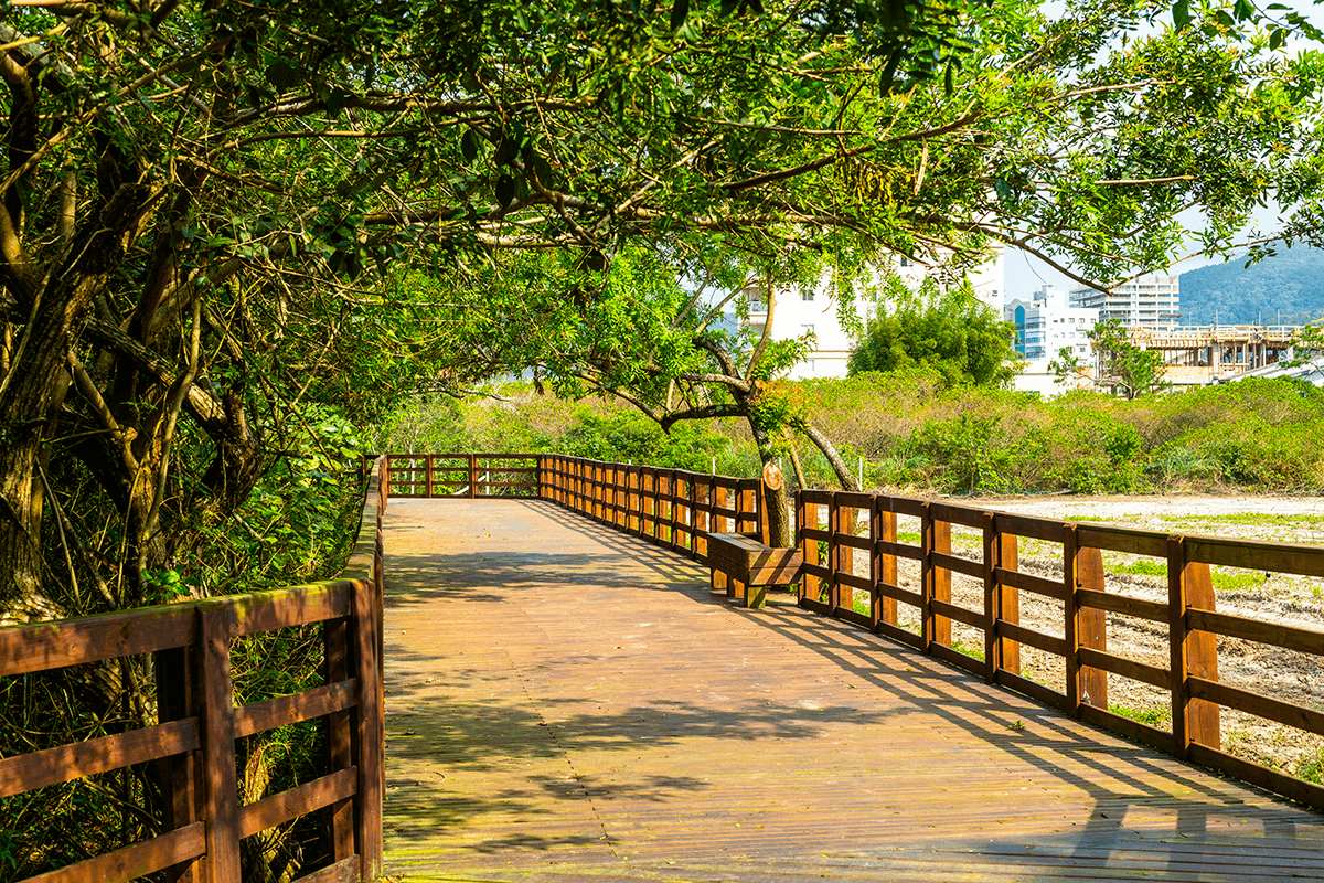 Parque Lagoa Do Perequê: Tudo Sobre Este Oásis De Porto Belo